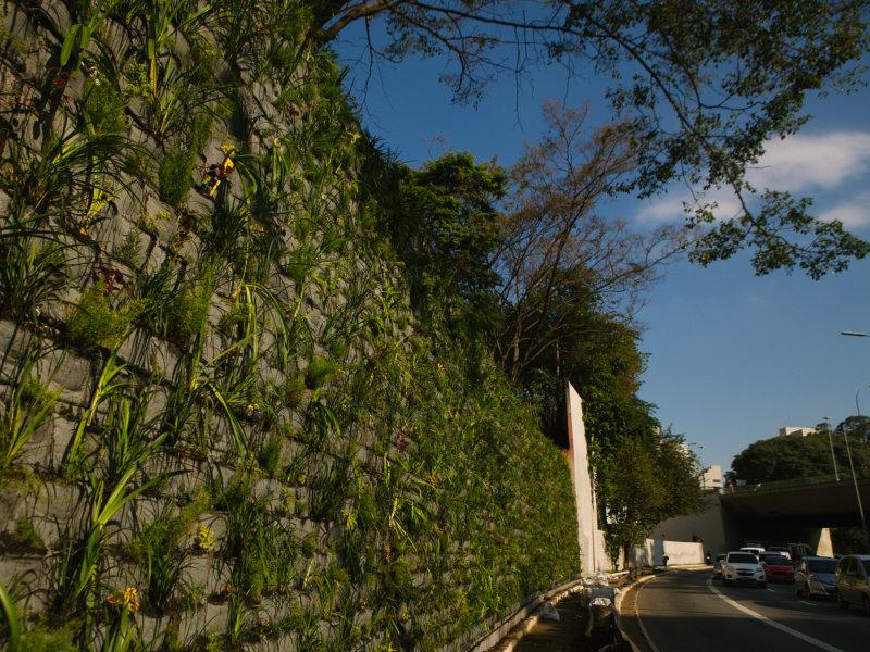 O maior Corredor Verde do mundo